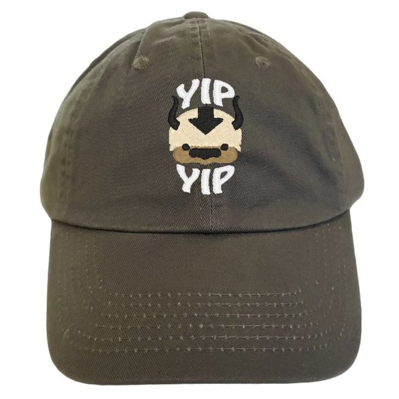 Accessories | Appa Avatar Hat | Poshmark